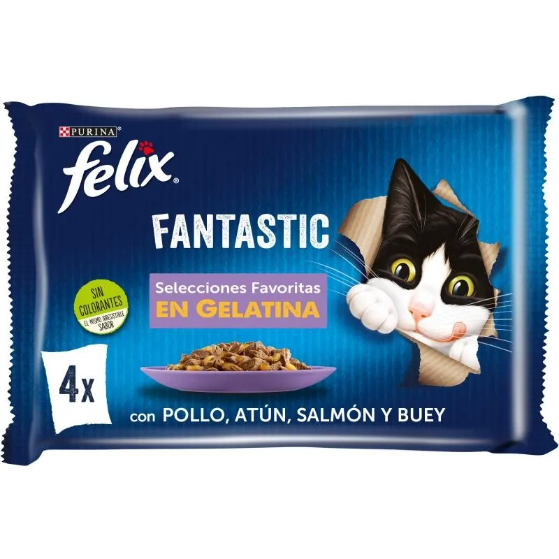 Kupite FELIX Feline Fantastic: Favorite Selections 12x4x85gr za Happy ...
