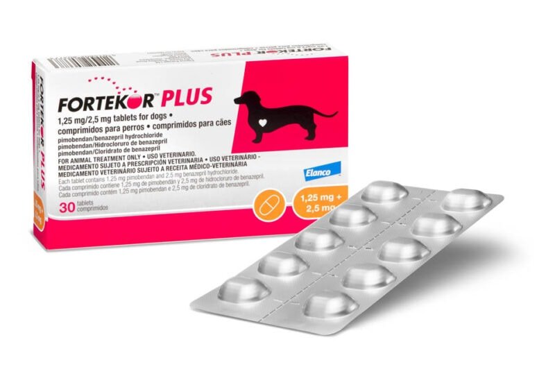 FORTEKOR PLUS CHIEN 1,25MG/2,5MG 30 COMPRIMES - GosVet