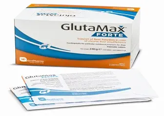 GLUTAMAX FORTE 120 COMPRESSE (NDR) - GosVet