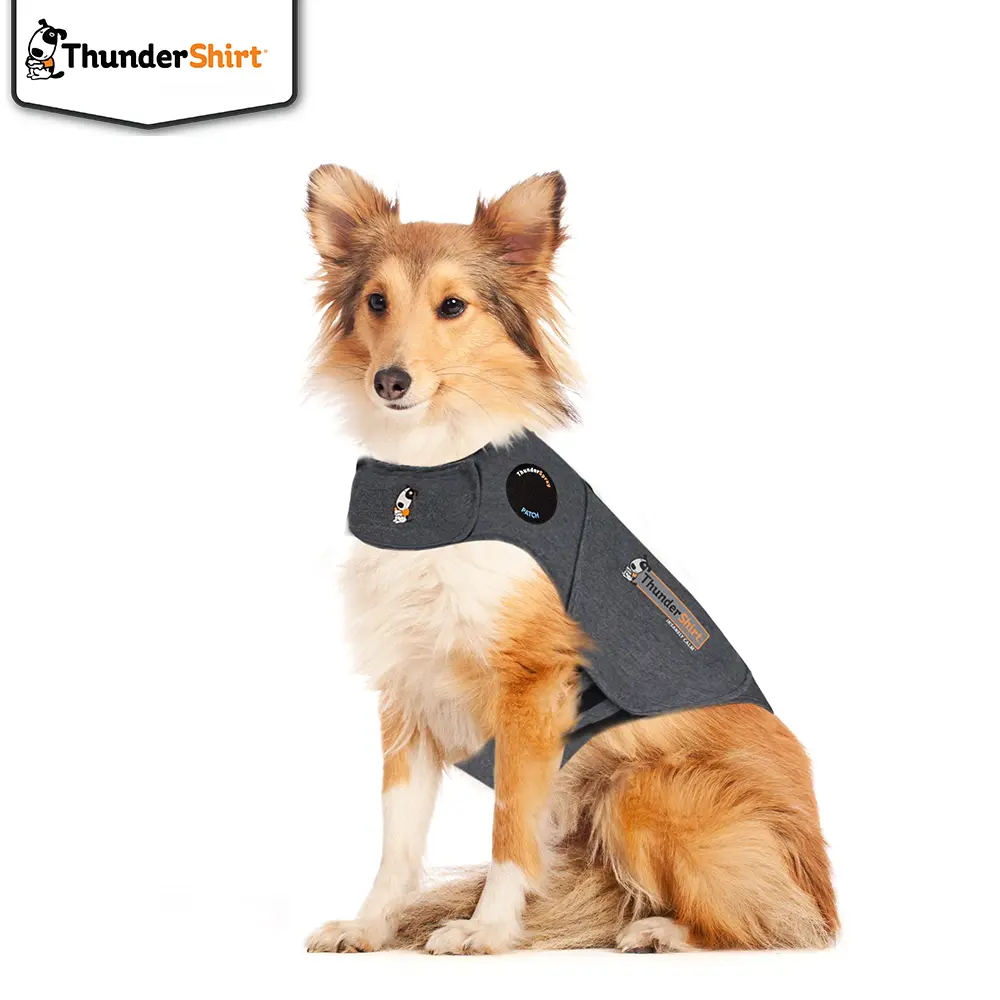 Thundershirt L 18-29kg (NDR) - GosVet